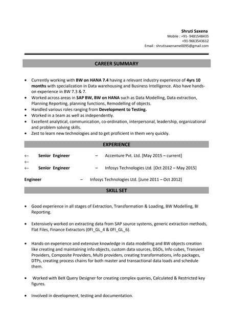 Neeraj Lamba Final Cv (1) | PDF