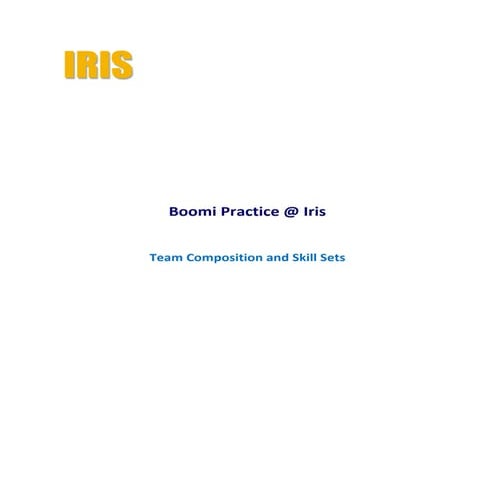 Boomi Practice | PDF