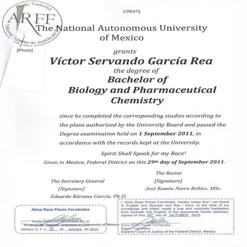 Bachelor Title | PDF