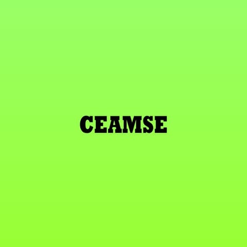 Ceamse | PPT