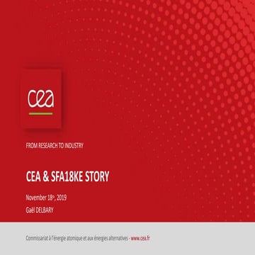 Optimizing Flash At Scale Ppt