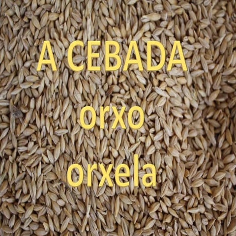 Cebada | PPT