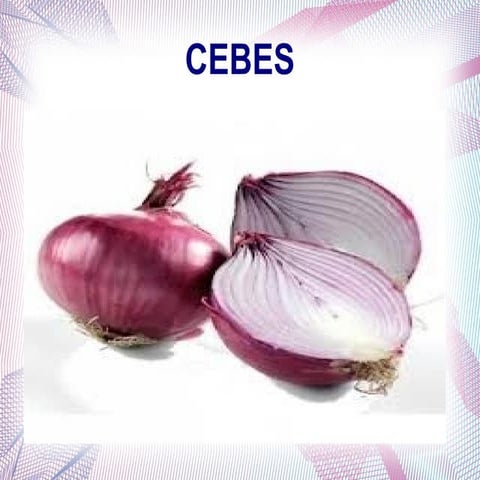 Cebes | PPT