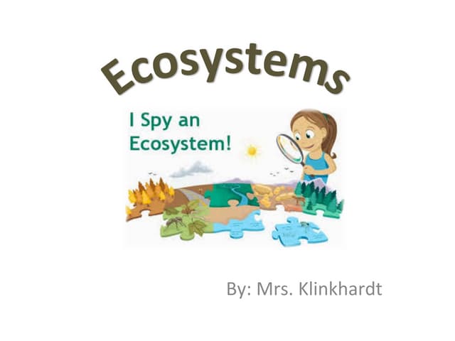 Habitats for plants and animals | PPT