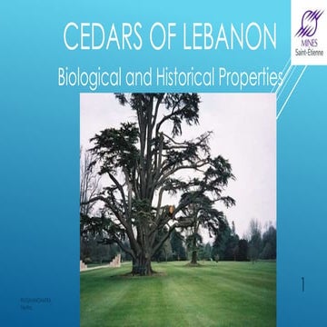Cedars of lebanon | PPTX