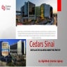 Digital Marketing Strategy for Cedars Sinai | PPTX