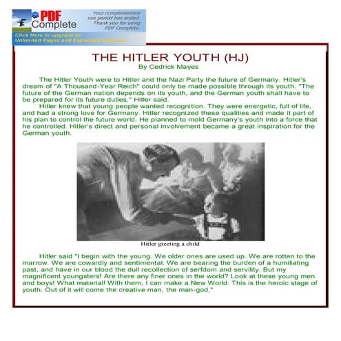 Hitler and Nazi Germany - Nazi youth groups | PPTX