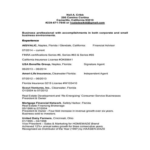 Proffessional Profile | PDF