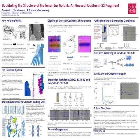 DT Poster Compressed | PDF