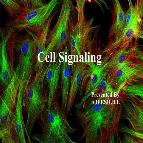 Cell signaling | PPT