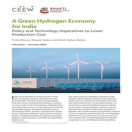 CEEW-A-Green-Hydrogen-Economy-for-India-14Dec20.pdf | Business ...
