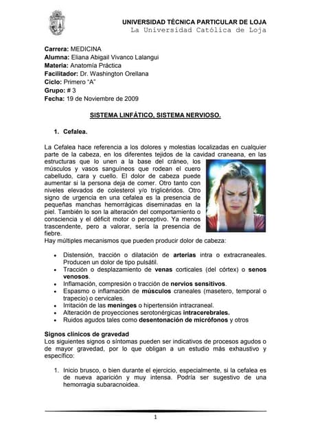 Lineas De Tension De Langer | PDF