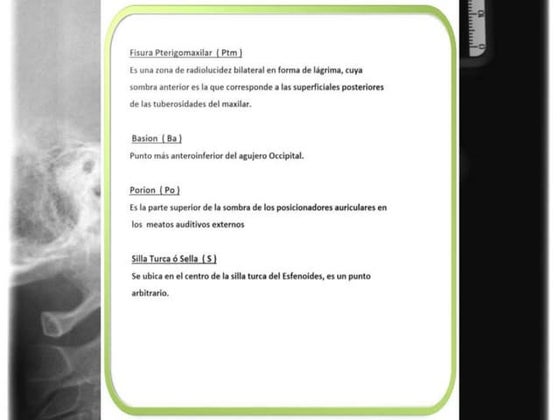 SANDRA MSU CERTIFICATE0001 | PDF