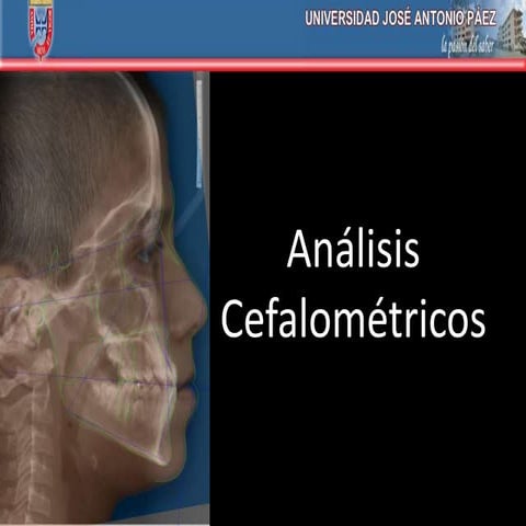 Anatomia radiologica | PPT