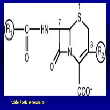 Cefalosporinas | PPT