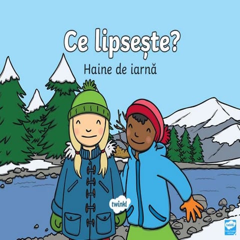 CE HAINA LIPSESTE.ppt