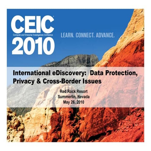 CEIC 2010 international panel | PDF