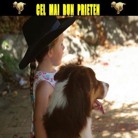 Cel Mai Bun Prieten | PPT