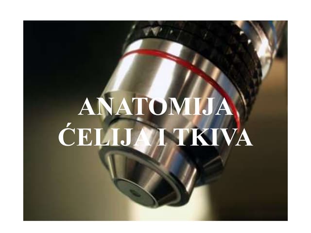 Građa ćelije - 7. razred, Dunja Ercegovčević | PPTX