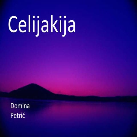 Celijakija | PPSX