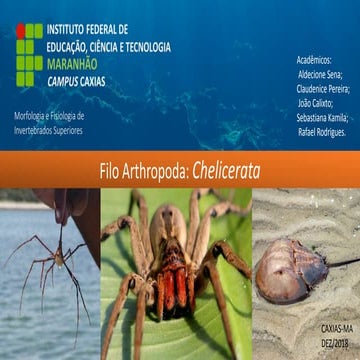 Chelicerata | PPTX