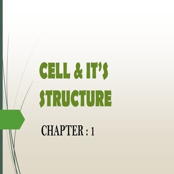 CELL-&-ITS-STRUCTURE(Summary of Cell organelles).pdf