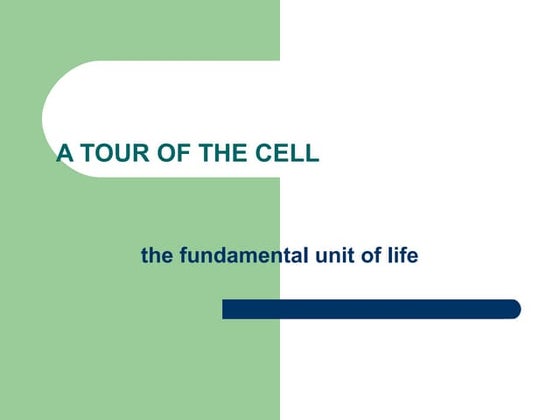 The Fundamental unit of life- Cell, Class 9 Chapter-5 | PPTX ...
