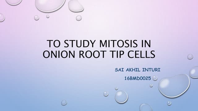mitosis practical of bio engineering field | PPTX