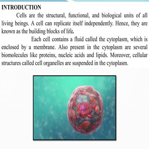 STRUCTURE OF CELL | PPTX