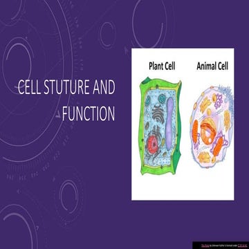 Cell stucture and function class 8 | PPTX