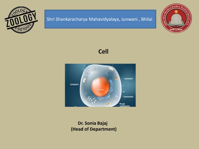 Diversity of cell shape and size | PPTX
