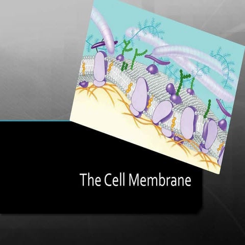 The Cell Membrane | PPTX | Biological Sciences | Science