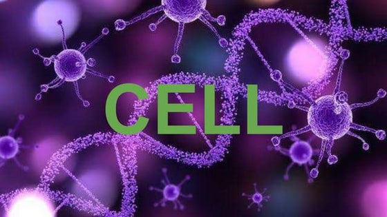 My cell biology work | PPT