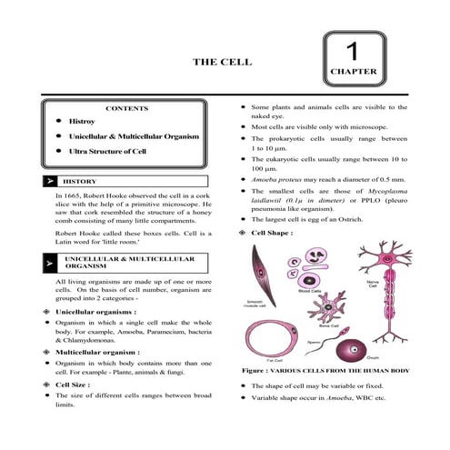 Cell | PDF