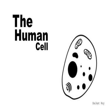 Cell - Basic Structure, Organelles and Overview | PPTX
