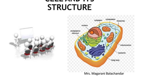 Parts of cell and their functions | PPTX