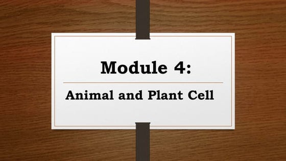 plant cells | PPT