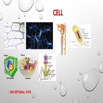 CELL PELAJARAN BIOLOGI ATAU IPA SMP, BERBAGAI JENIS SEL | PPT