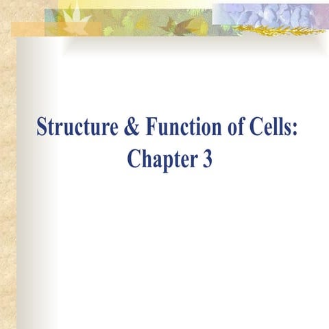 The Fundamental unit of life- Cell, Class 9 Chapter-5 | PPTX