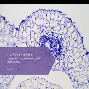 Cell Structure and Types Prokaryotic and Eukaryotic .pptx