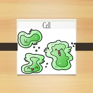 cell. its organells plasma membrane and its model | PPTX