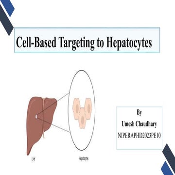 Cell-Based Targeting to Hepatocytes. | PPTX