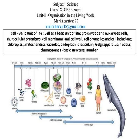 Cell - Basic Unit of life _1_IX_CBSE.pptx