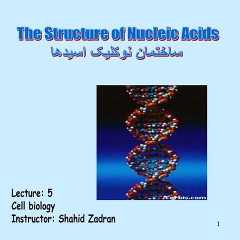 Structure of Nucleic acids | PPT | Chemistry | Science
