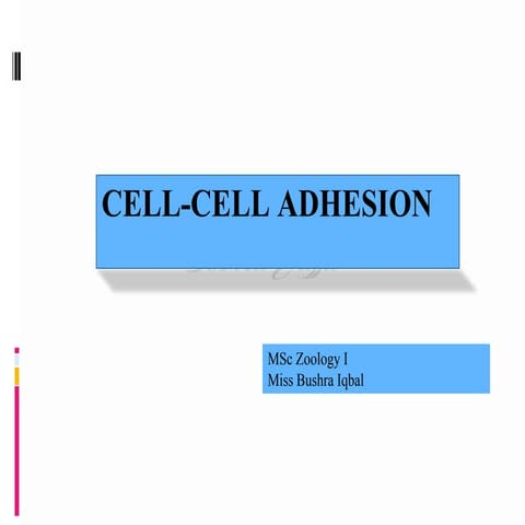 Cell cell adhesion | PPTX
