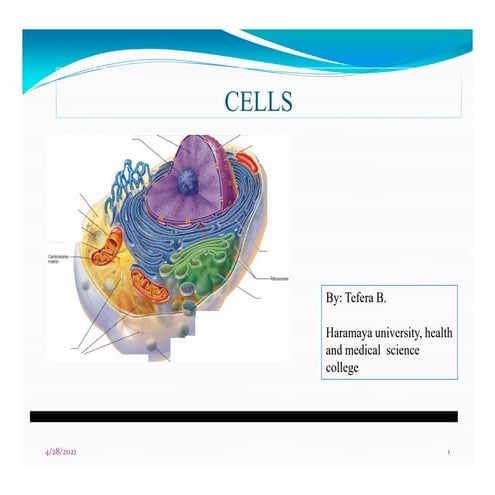 The Cell & Cell Cycle-detailed structure and function of organelles.pptx