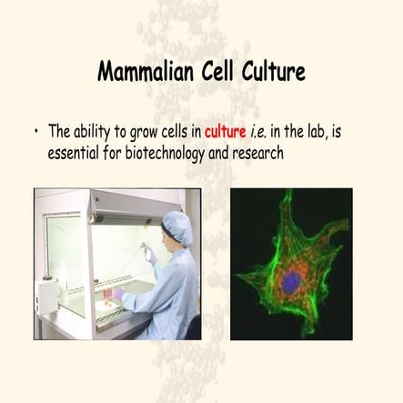 Cell Culture | PPT