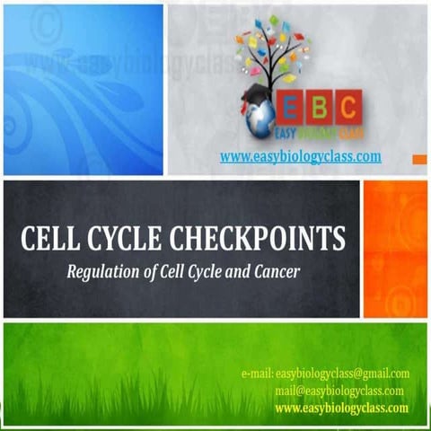 Cell-Cycle-Checkpoints-PPT-by-Easybiologyclass.pptx | Biological Sciences | Science