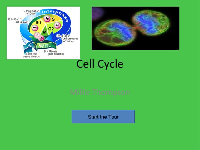 Cell Cycle | PPT