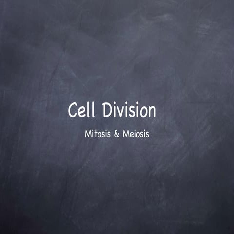 Cell Division | PPT